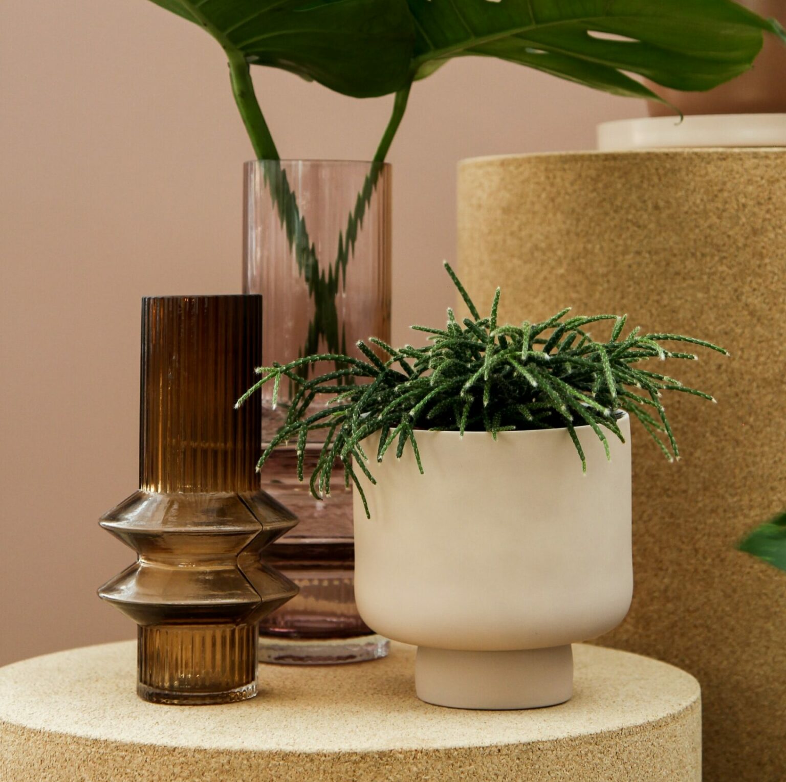 Best Minimalist Pots And Planters To Spruce Up Your Space - Ianiko