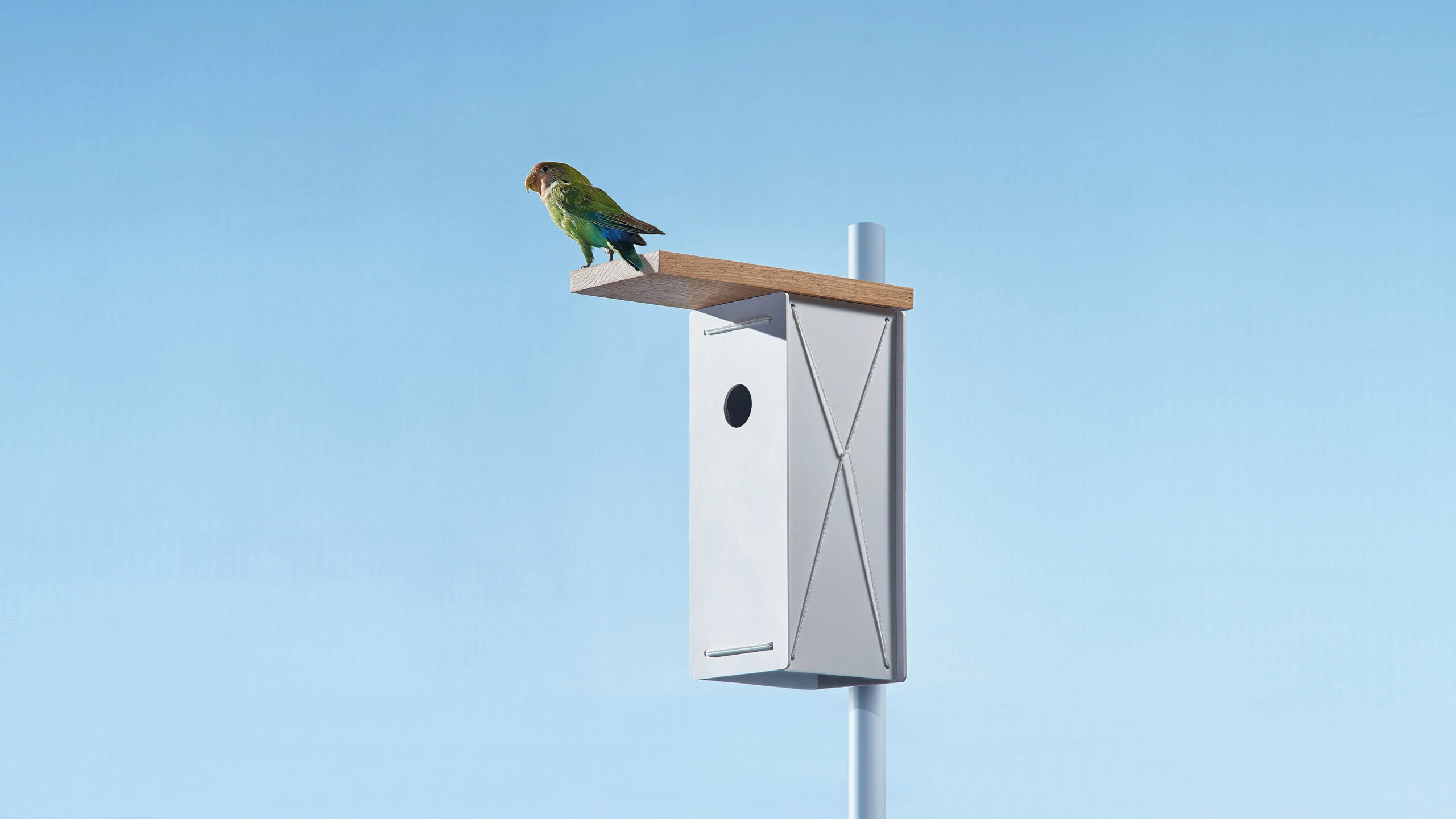 The Ultimate Minimalist Birdhouse List - Ianiko